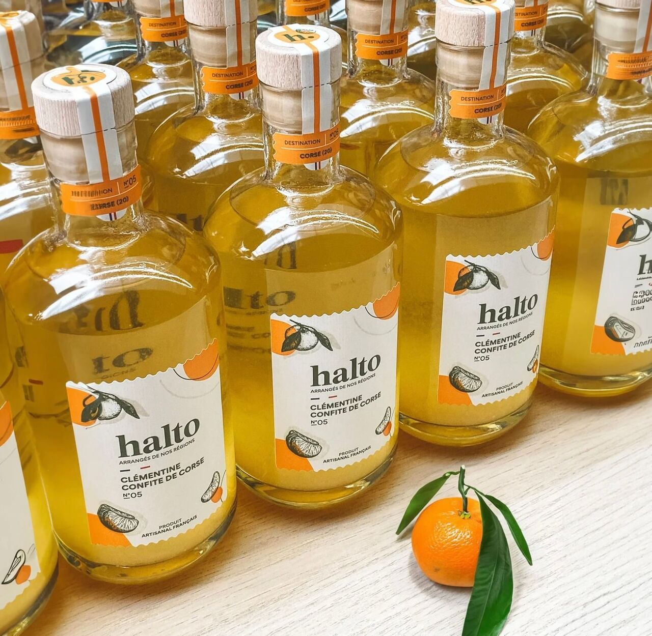 Nouvelle destination pour Halto : la Corse